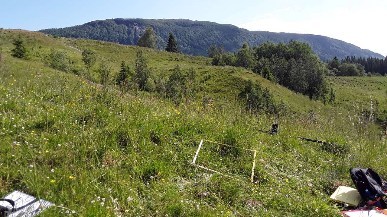 Overvåking av semi-naturlig eng (ASO) - Nibio Overvåking av semi-naturlig eng (ASO) - Nibio
